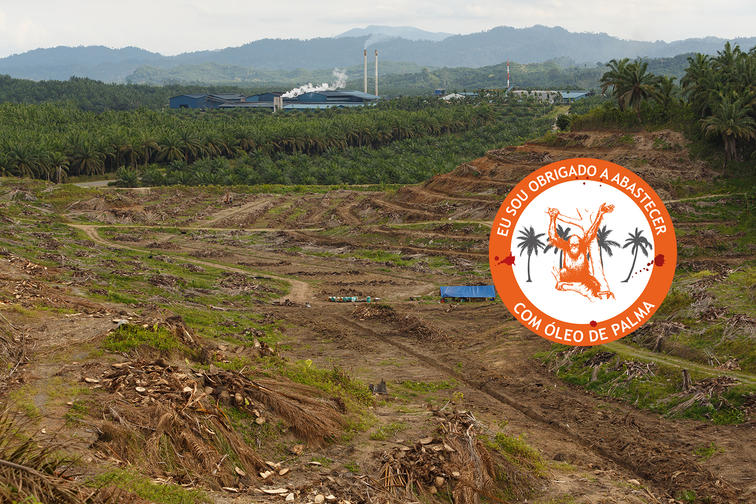 ZERO - Associação Sistema Terrestre Sustentável