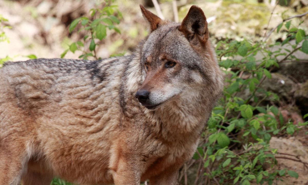 ZERO - Associação Sistema Terrestre Sustentável