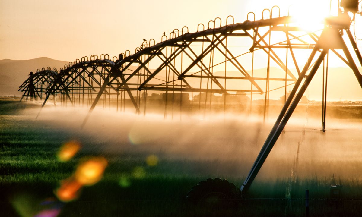 ZERO - Associação Sistema Terrestre Sustentável
